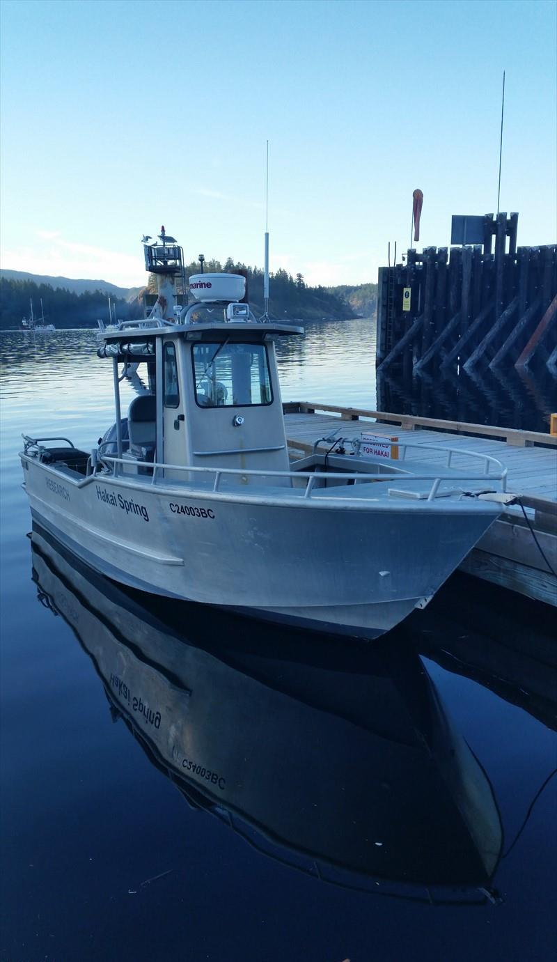 HAKAI SPRING - Vesseljoin