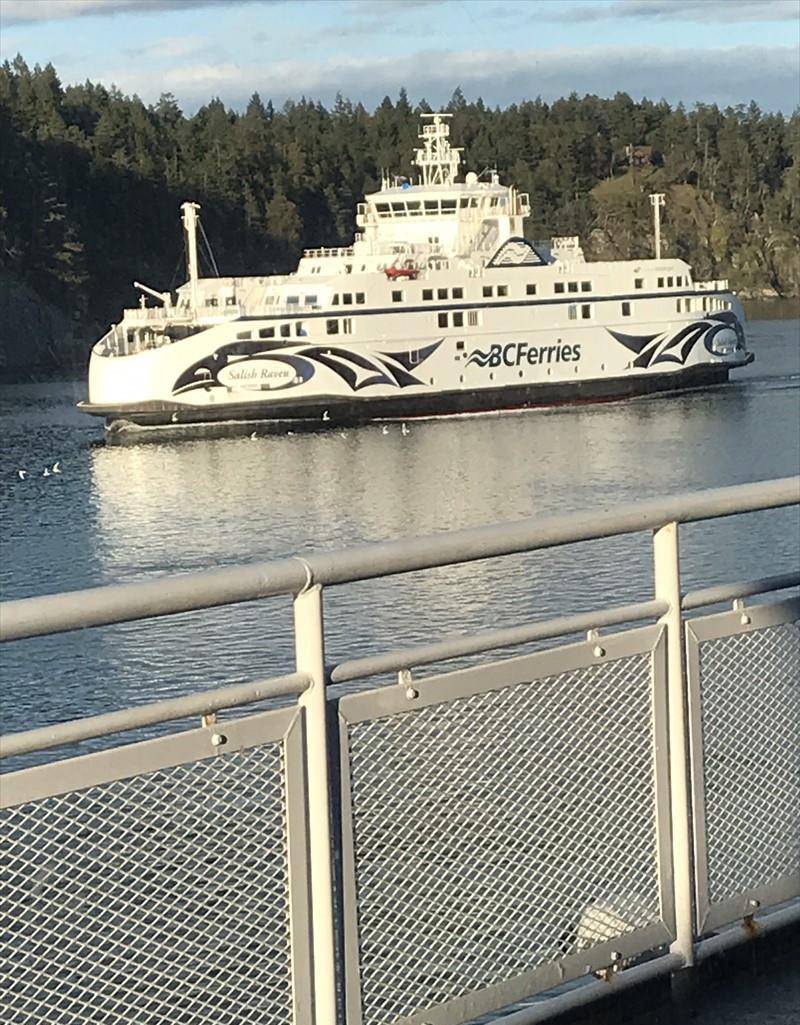 SALISH RAVEN - Vesseljoin