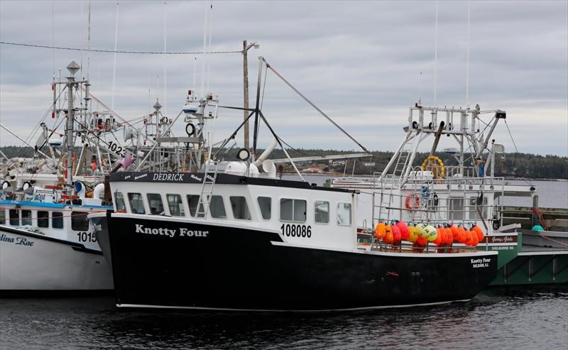 KNOTTY FOUR - Vesseljoin