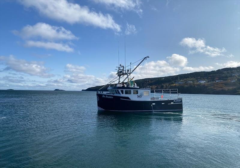 THE PREDATOR - Vesseljoin