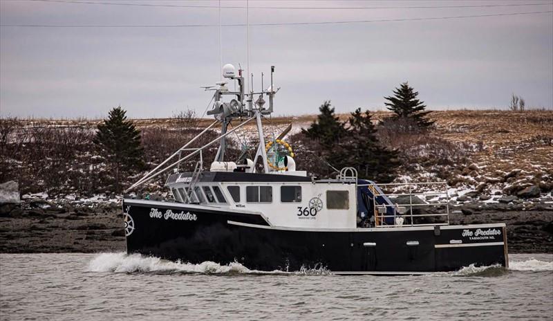 THE PREDATOR - Vesseljoin