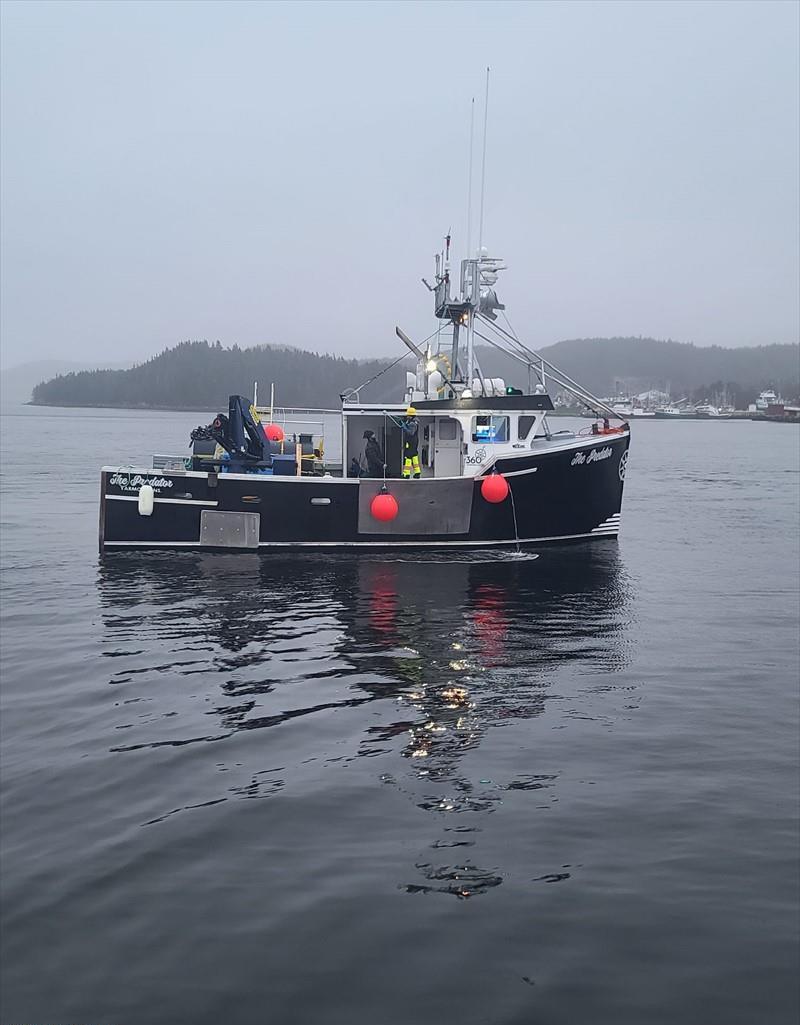 THE PREDATOR - Vesseljoin