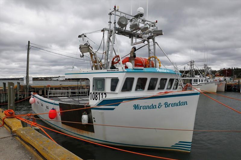 MIRANDA BRENDAN - Vesseljoin