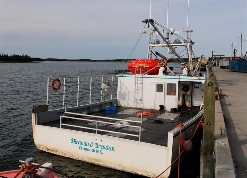 MIRANDA BRENDAN - Vesseljoin