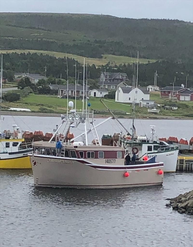 NAUTICAL NEMESIS - Vesseljoin