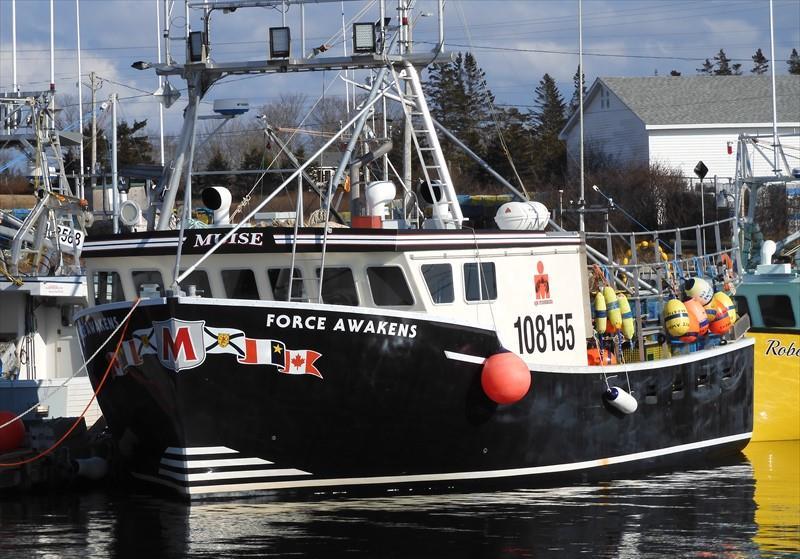 FORCE AWAKENS - Vesseljoin