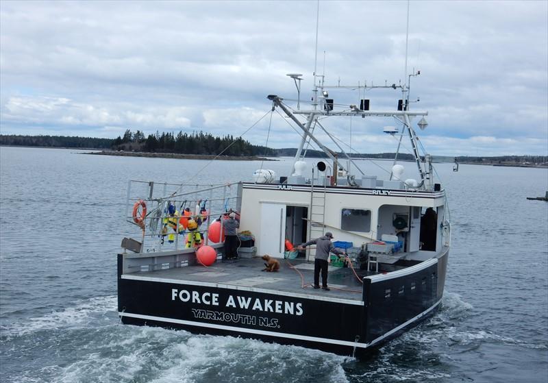 FORCE AWAKENS - Vesseljoin