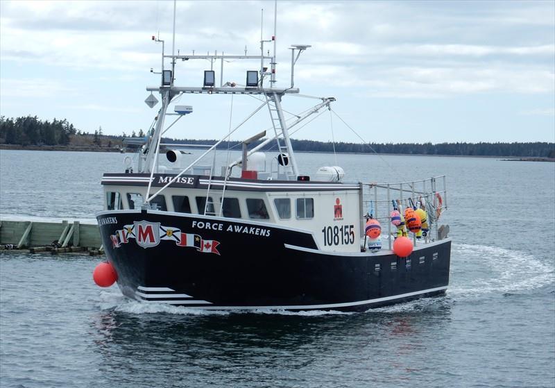 FORCE AWAKENS - Vesseljoin