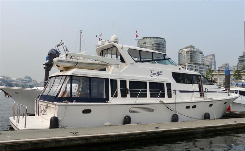 TIGER LILLI - Vesseljoin