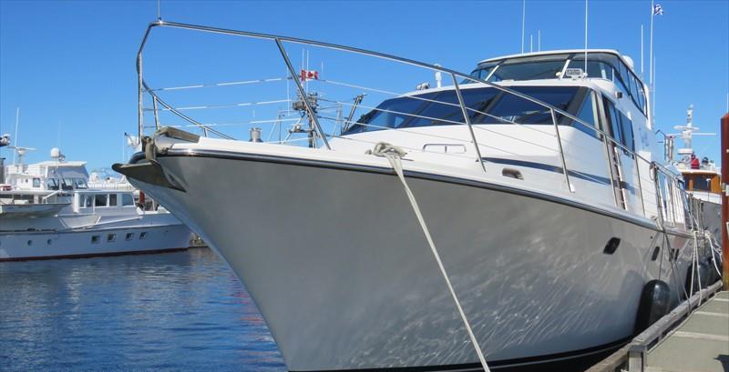 TIGER LILLI - Vesseljoin