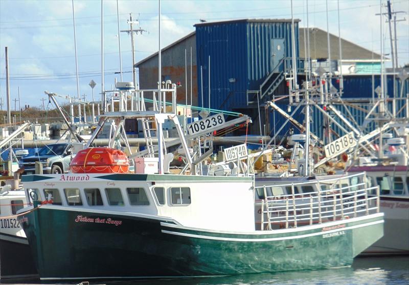 FATHOM THAT BUOYS - Vesseljoin