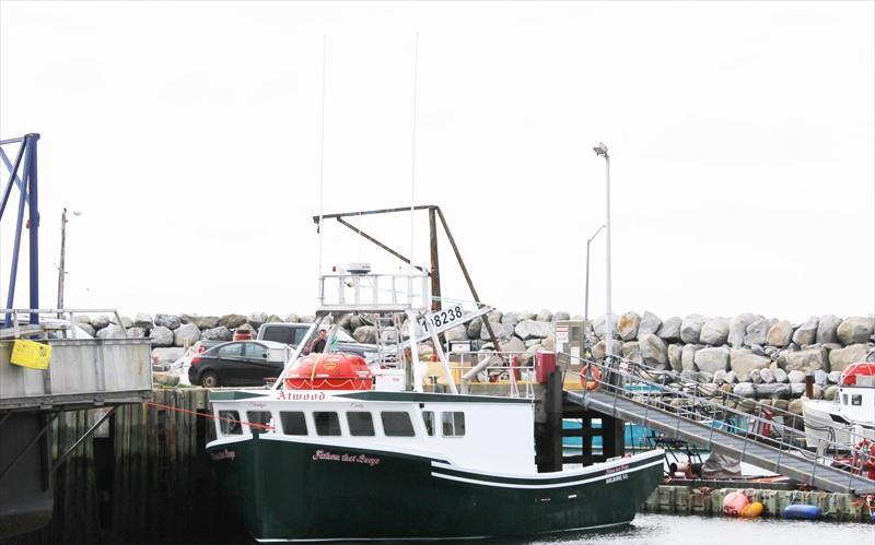 FATHOM THAT BUOYS - Vesseljoin