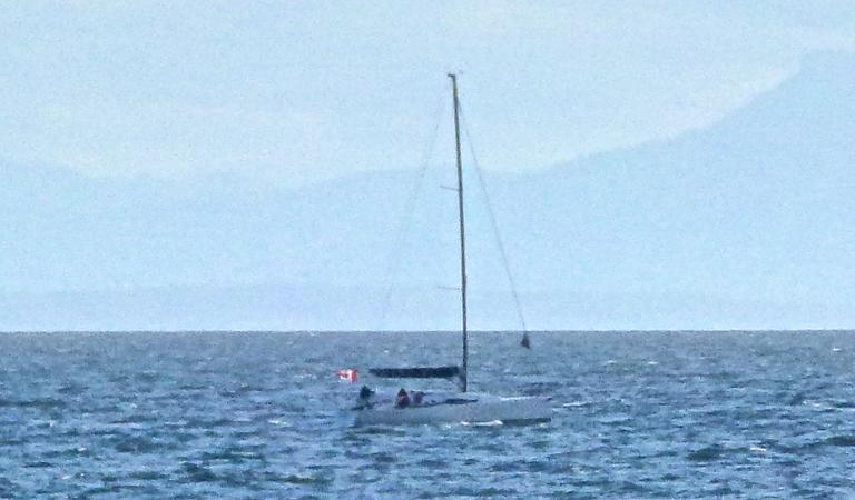 65 RED ROSES II - Vesseljoin