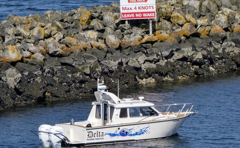 DELTA MARINE - Vesseljoin