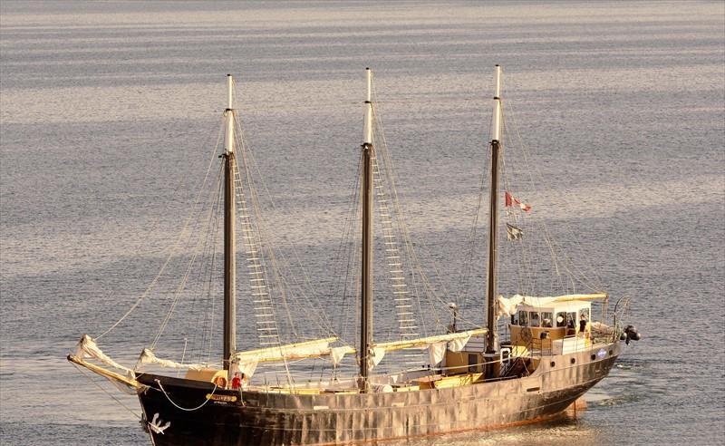 SILVA OF HALIFAX - Vesseljoin