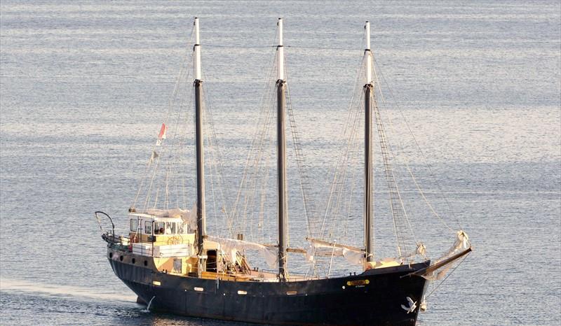 SILVA OF HALIFAX - Vesseljoin