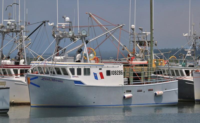 LEXI MARIA - Vesseljoin