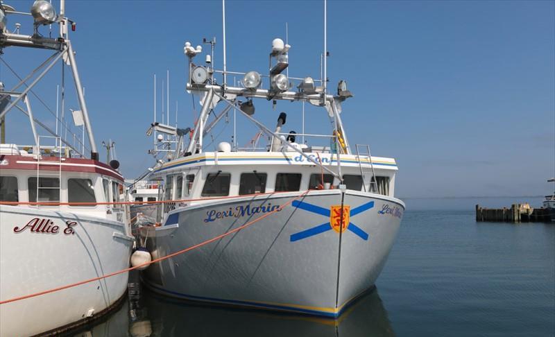 LEXI MARIA - Vesseljoin