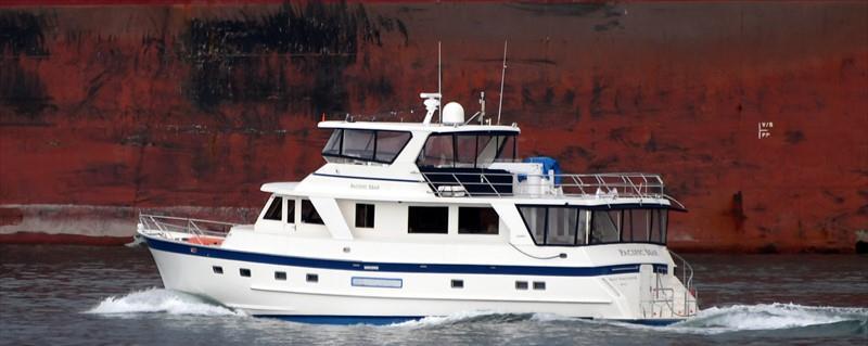 PACIFIC BEAR - Vesseljoin