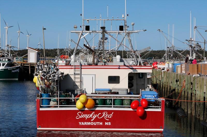 SIMPLY RED - Vesseljoin