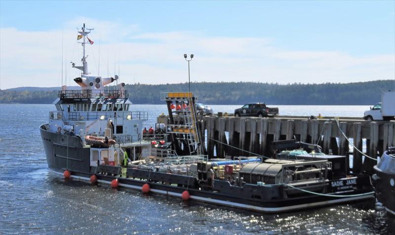 SADIE JANE - Vesseljoin