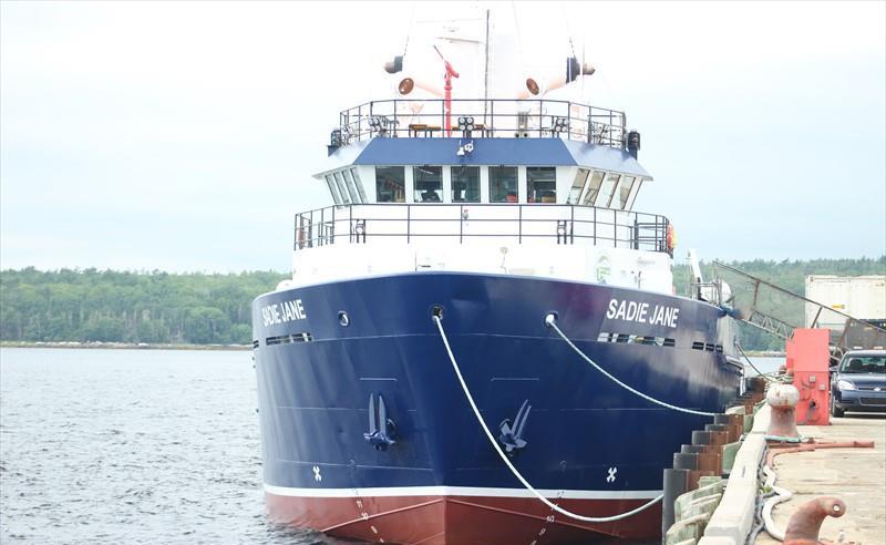 SADIE JANE - Vesseljoin