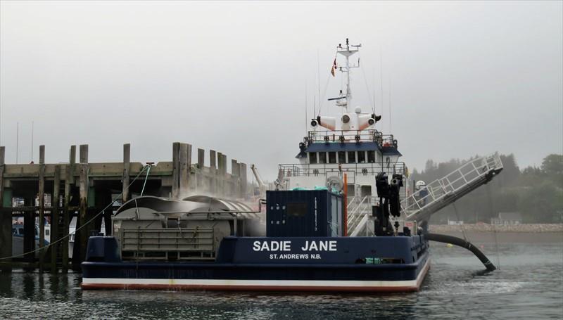 SADIE JANE - Vesseljoin