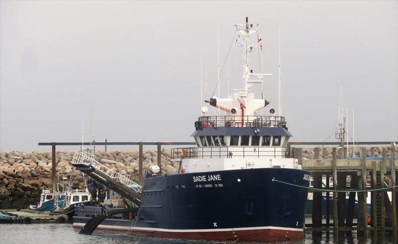 SADIE JANE - Vesseljoin