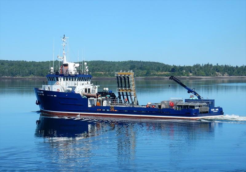 SADIE JANE - Vesseljoin