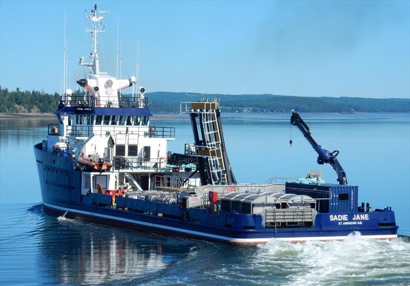 SADIE JANE - Vesseljoin