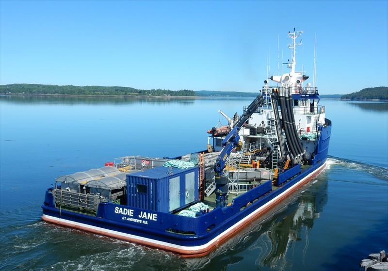 SADIE JANE - Vesseljoin