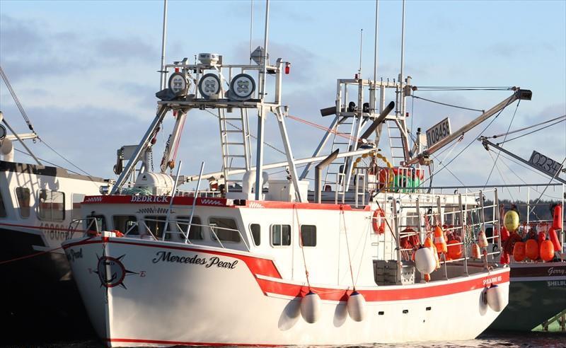 MERCEDES PEARL - Vesseljoin