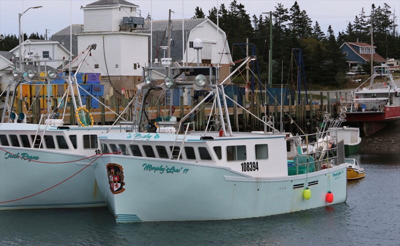 MURPHYS LAW - Vesseljoin