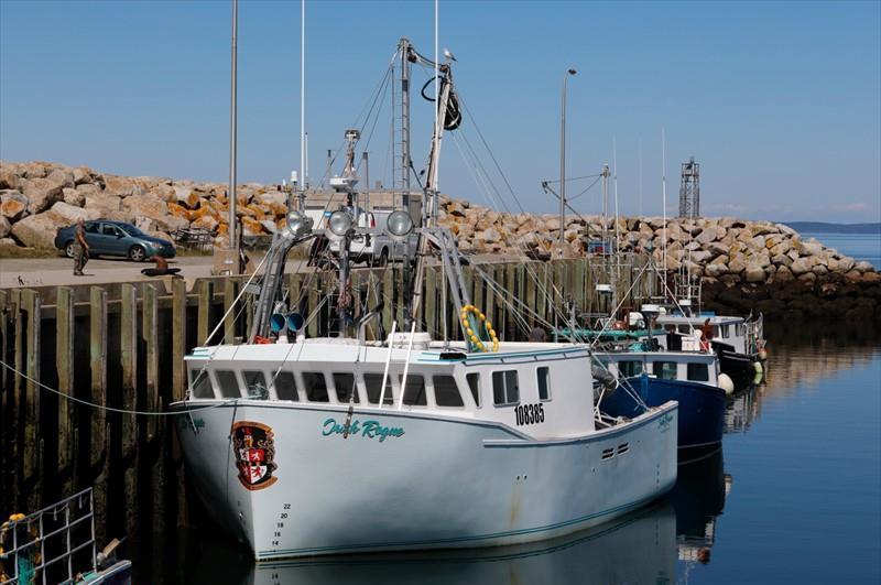 IRISH ROGUE - Vesseljoin