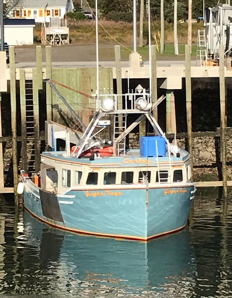 GINGER RAGE - Vesseljoin