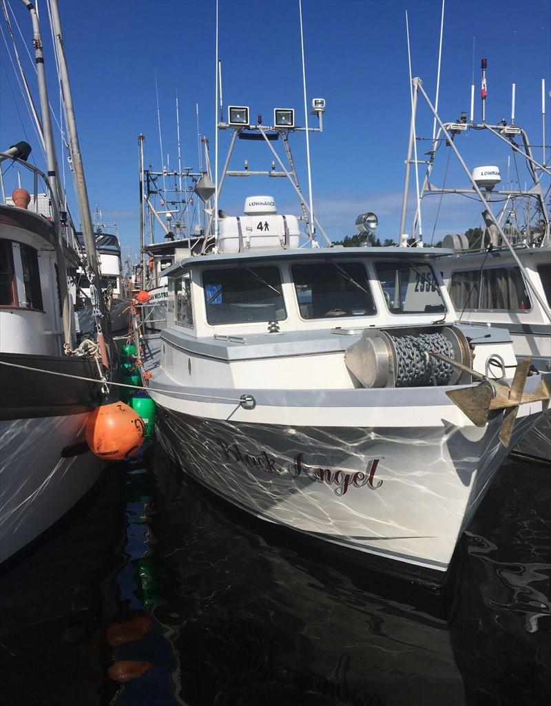 BLACK ANGEL - Vesseljoin