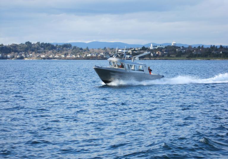 JOLLY SEBER - Vesseljoin