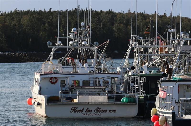 KNOT TOO SHORE 18 - Vesseljoin