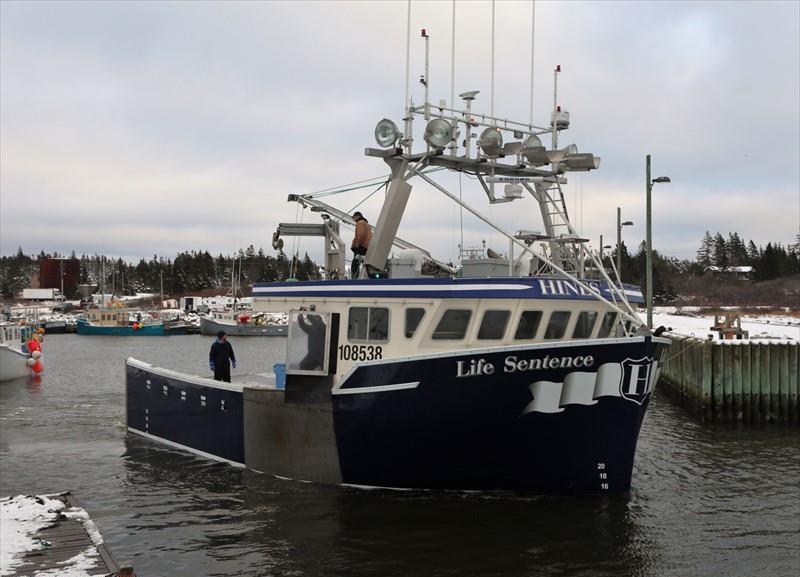 LIFE SENTENCE - Vesseljoin