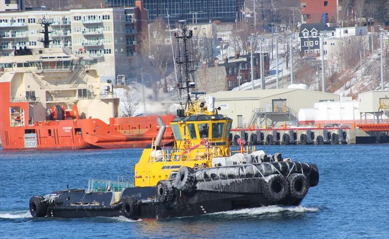 DALTON WARRIOR - Vesseljoin