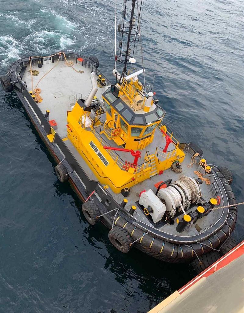 DALTON WARRIOR - Vesseljoin