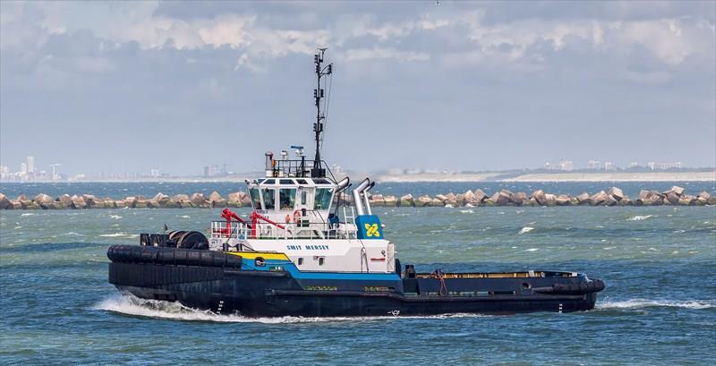 DALTON WARRIOR - Vesseljoin