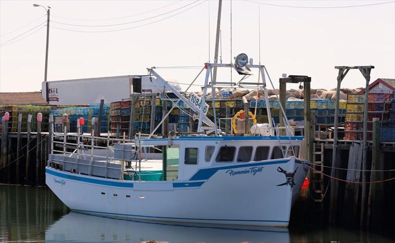 HUMMIN TIGHT - Vesseljoin