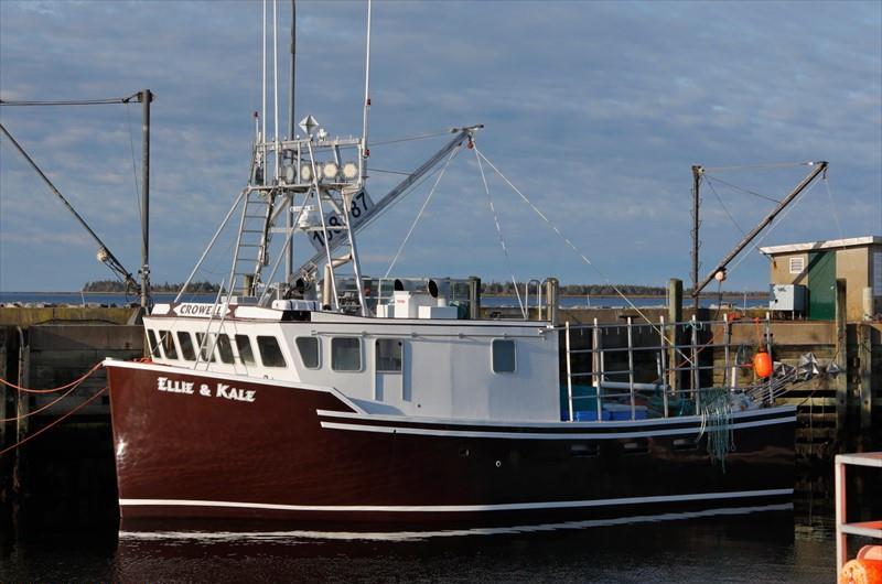 ELLIE KALE - Vesseljoin