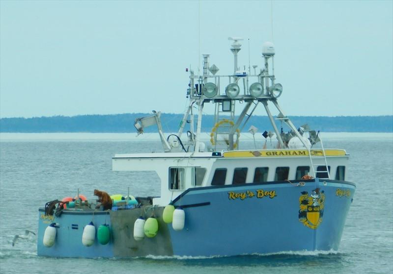 ROYS BOY - Vesseljoin