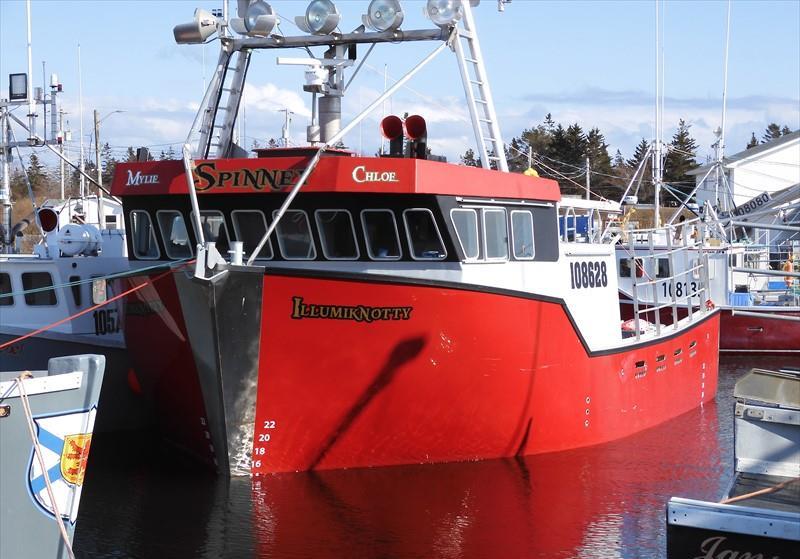 ILLUMIN KNOTTY - Vesseljoin