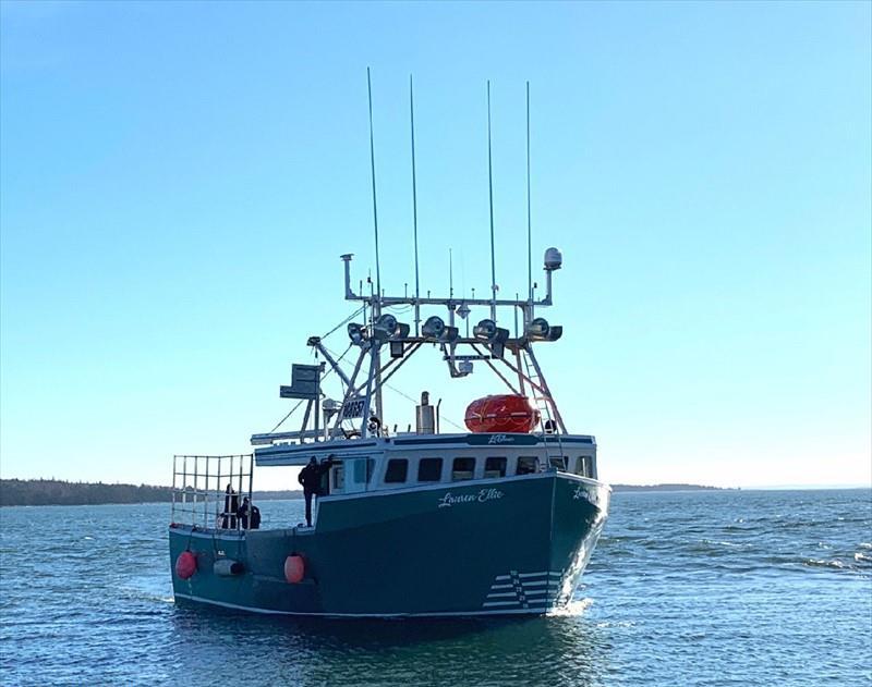 LAUREN ELLIE - Vesseljoin