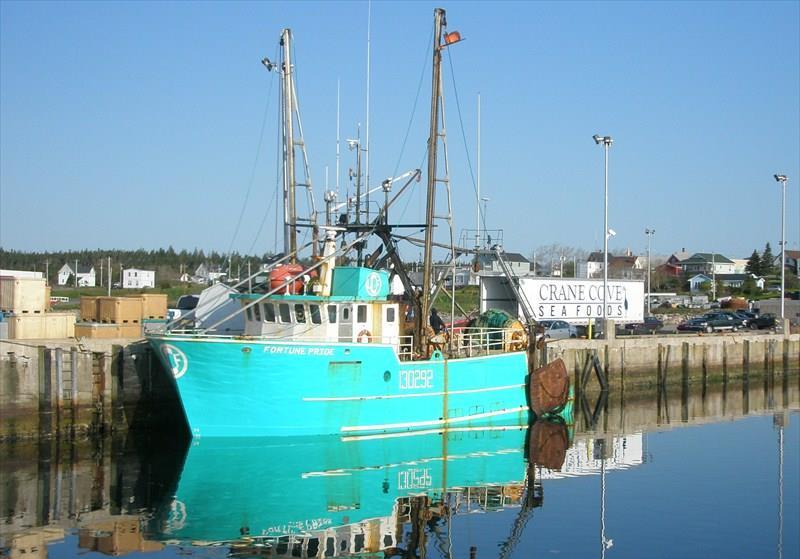 FORTUNE PRIDE - Vesseljoin