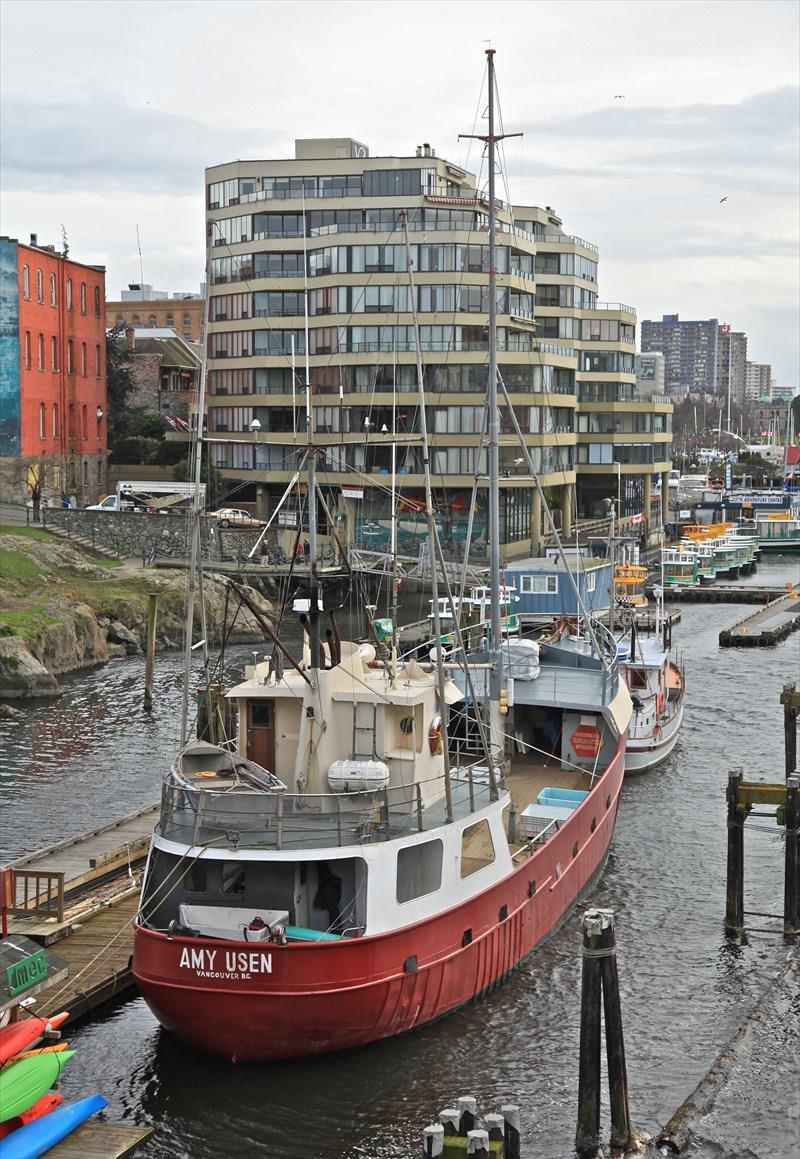 AMY USEN - Vesseljoin