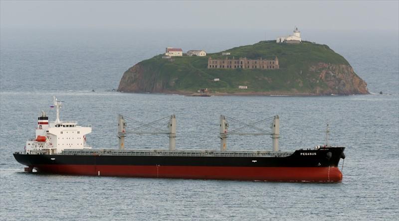 PEGASUS - Vesseljoin